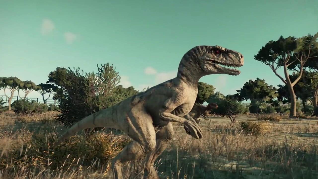 Atrociraptor | En lille men frygtet dinosaur