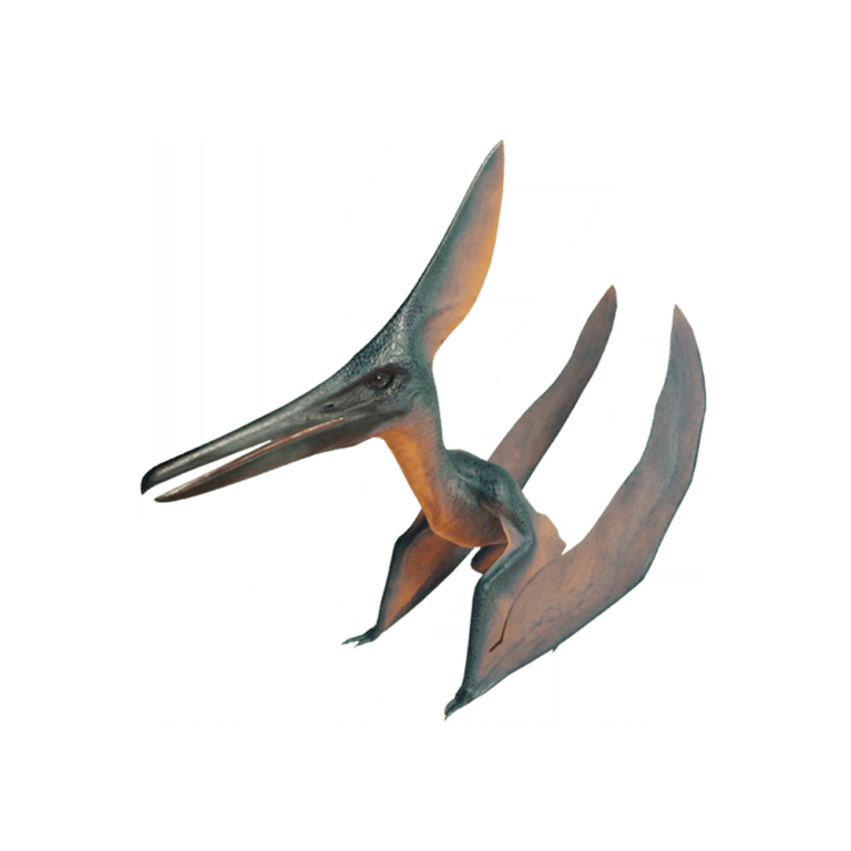 Jeholopterus: Den fascinerende pterosaur fra Juraen