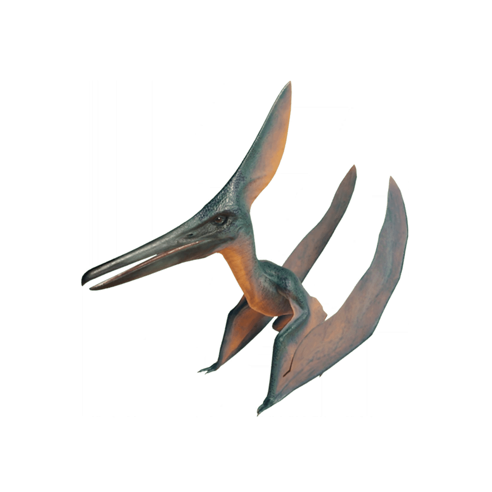 Barbaridactylus - En flyveøgle der spiste fisk