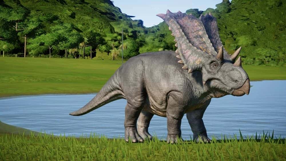 Chasmosaurus: Den hjelmprydede kæmpe