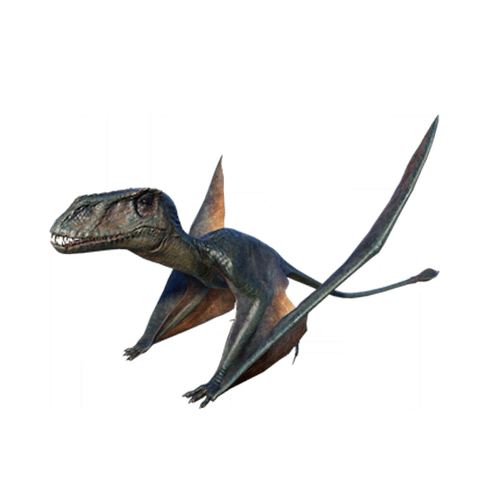 Dimorphodon: Fascinerende flyveøgle fra juratiden