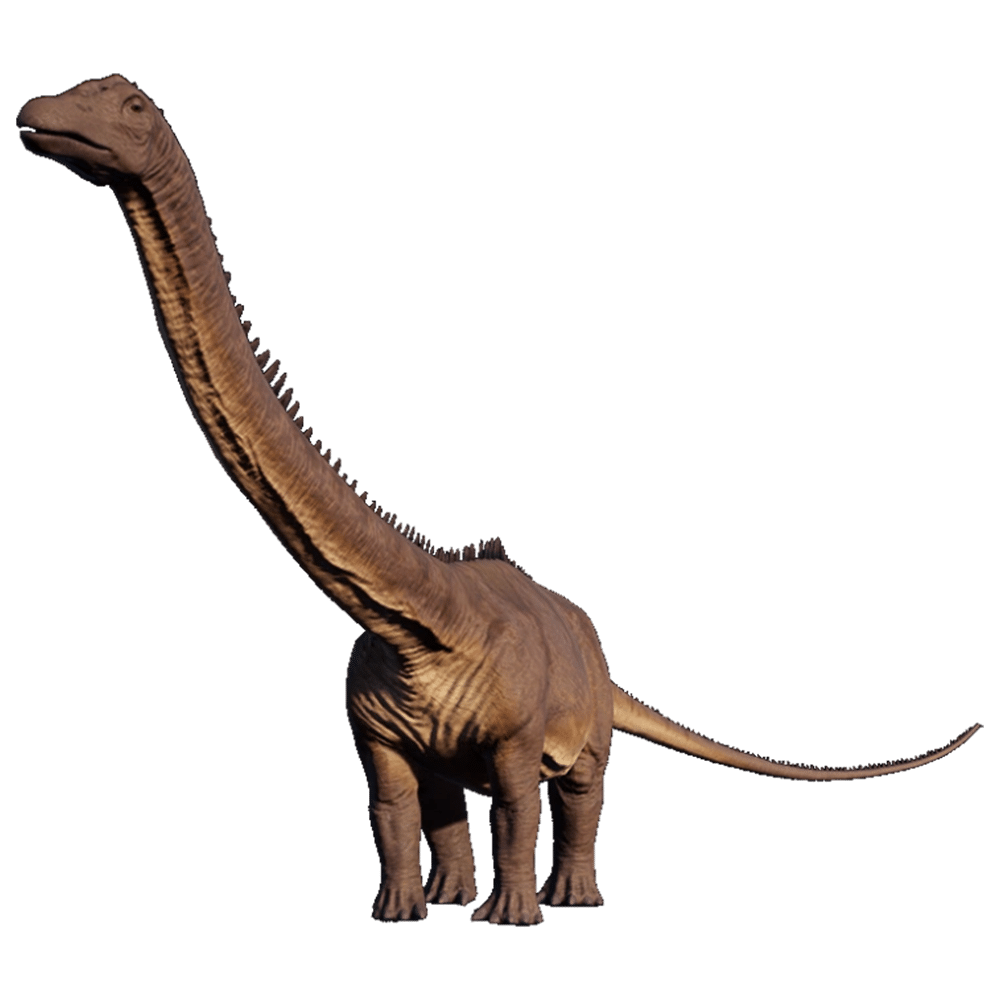 Oplev Diplodocus: Den Kæmpe Dinosaur med Lang Hals