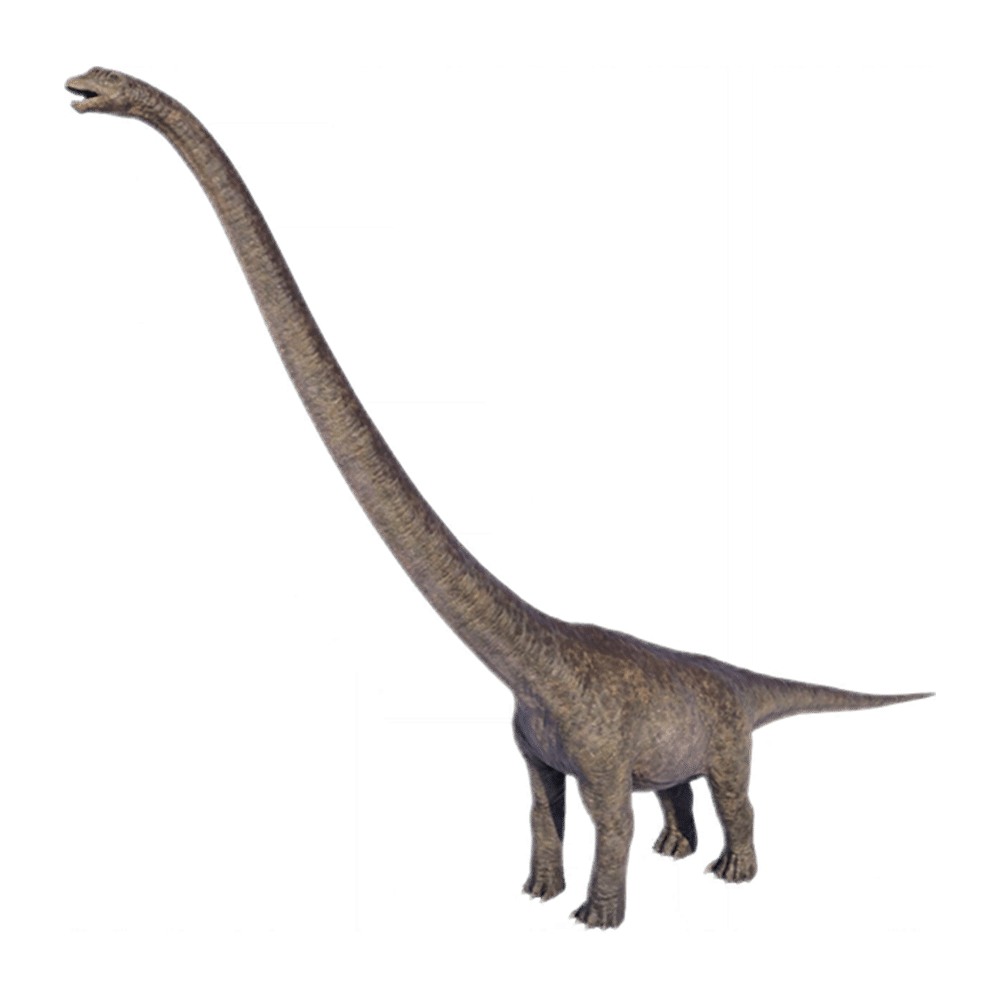 Mamenchisaurus – Den langhalsede kæmpe fra Kina